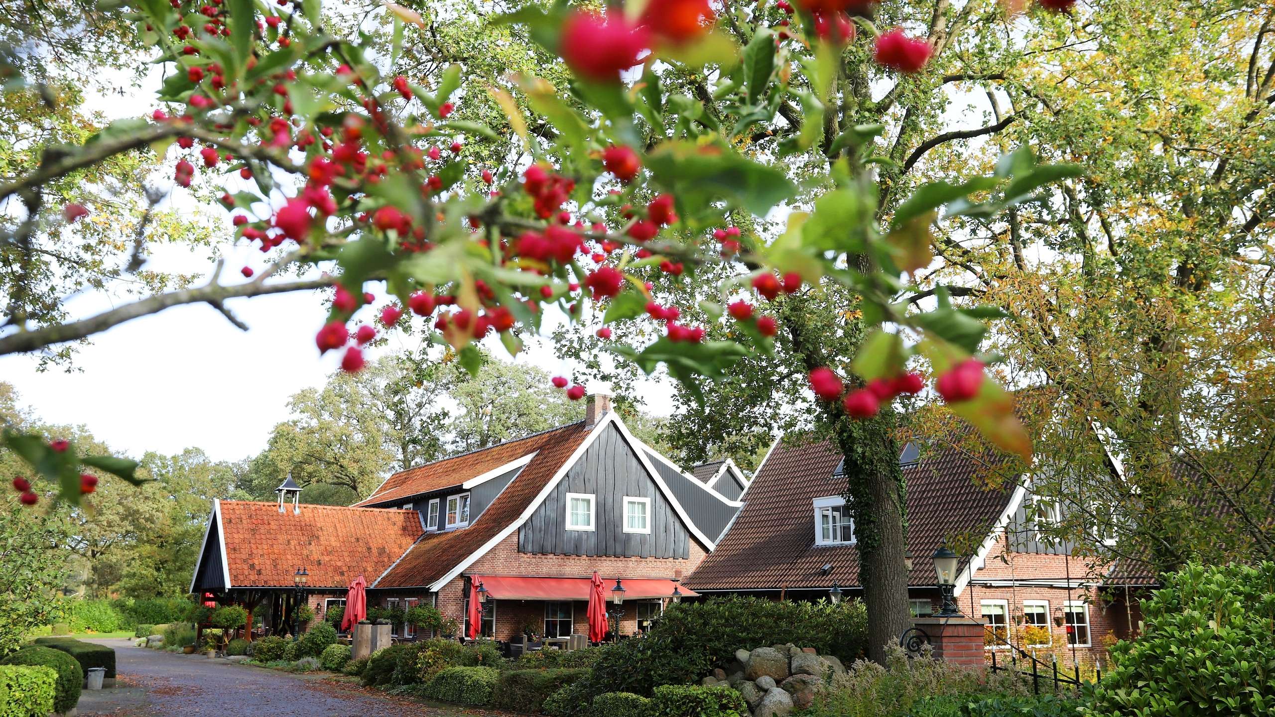 Romantik Hotel Het Ros van Twente