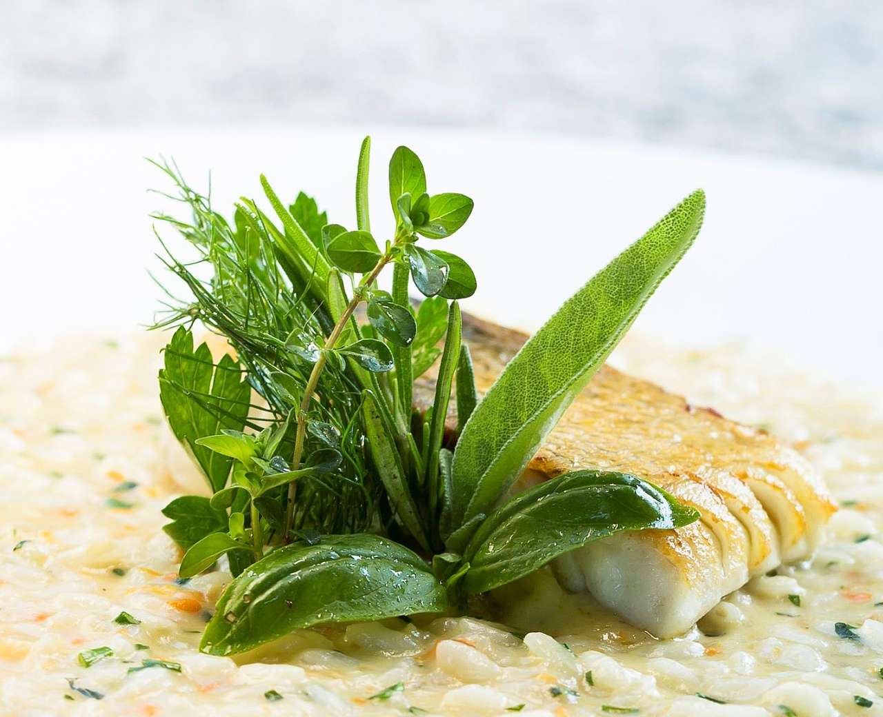 Romantik® Restaurant da Enzo | Tegna, Switzerland